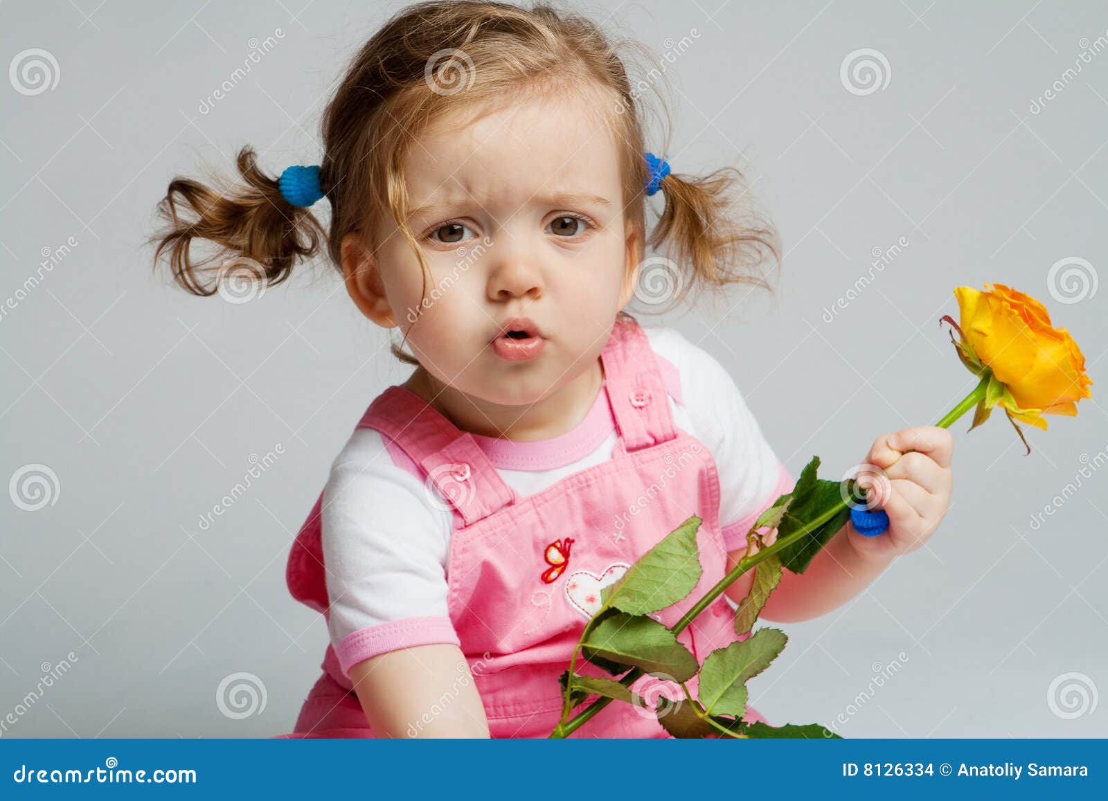 852 Angry Rose Stock Photos - Free & Royalty-Free Stock Photos from ...