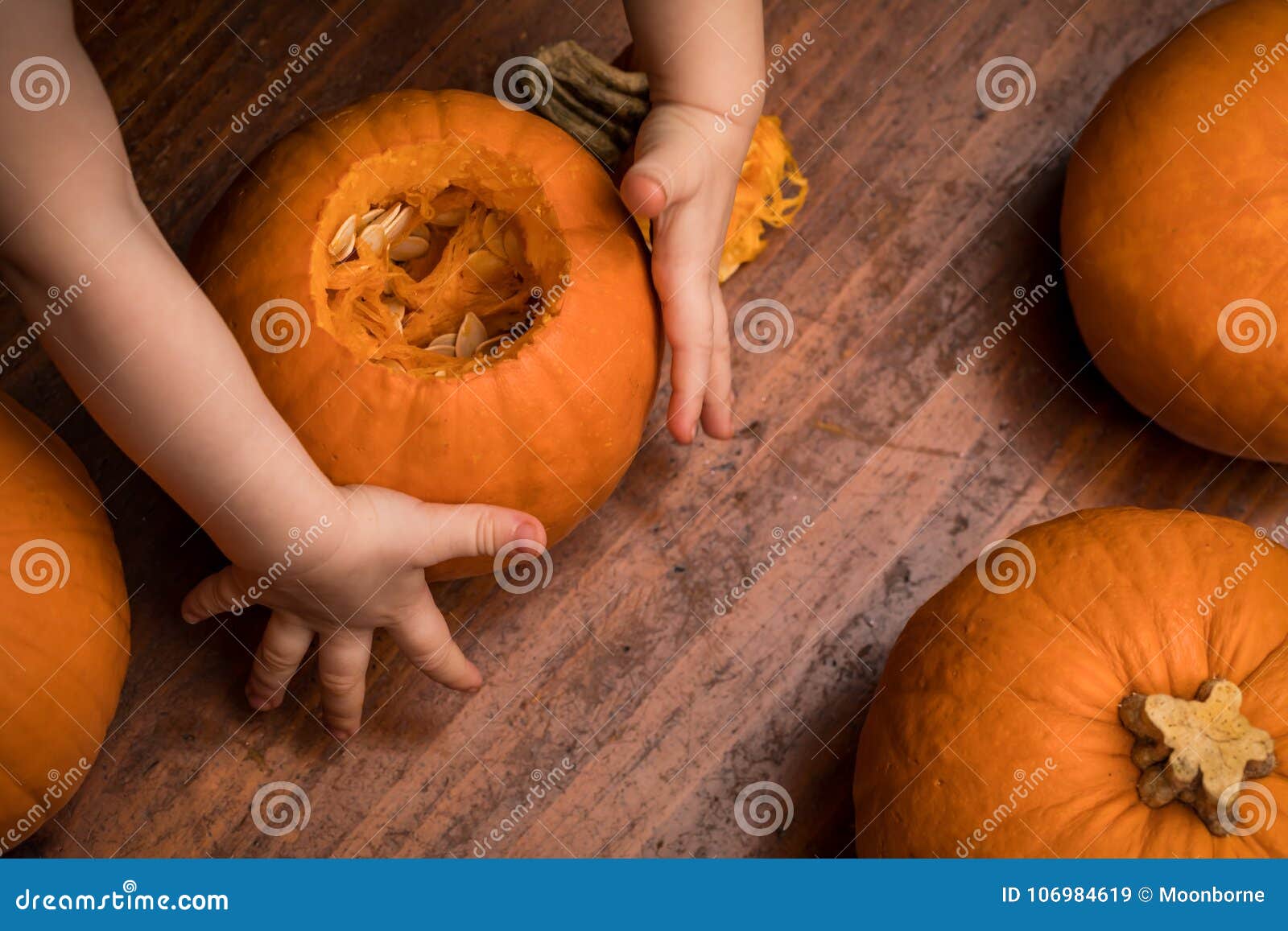 Toddler`s Hands on a Pumpkin Stock Image - Image of agriculture, baby ...