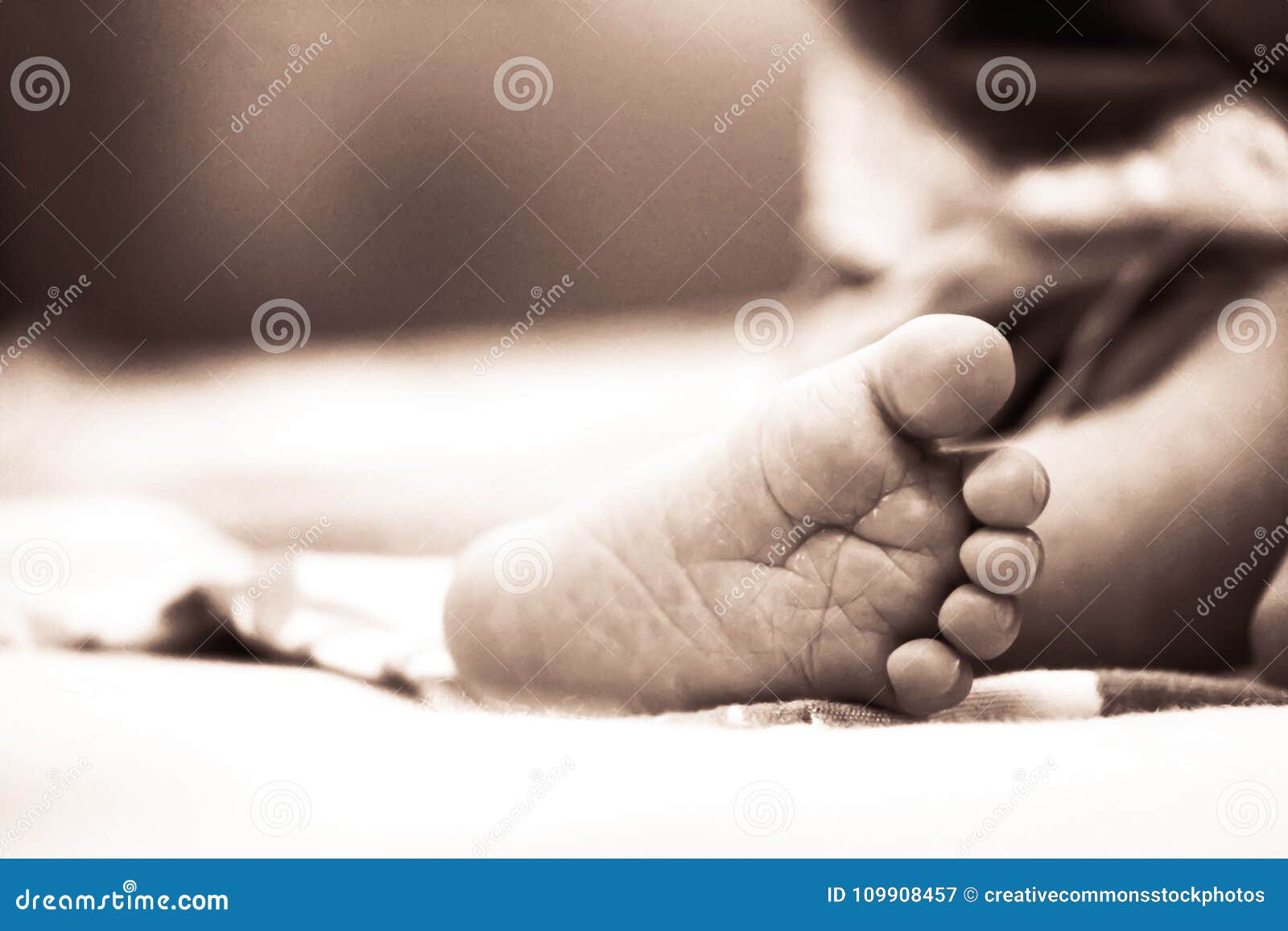 Toddler's Left Foot Picture. Image: 109908457