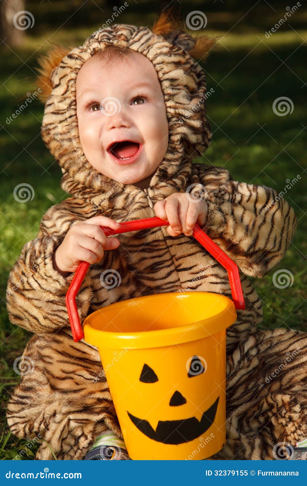 Tiger Picking Photos - Free & Royalty-Free Stock Photos from Dreamstime