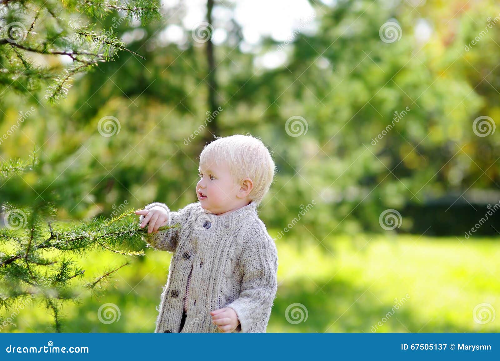 Toddler Touching at Spruce Tree Stock Image - Image of natural, child ...