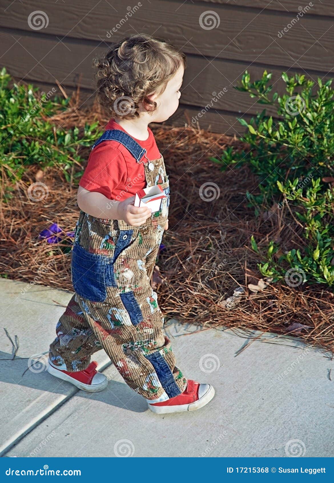 Toddler Walking Outdoors stock photo. Image of snacks - 17215368