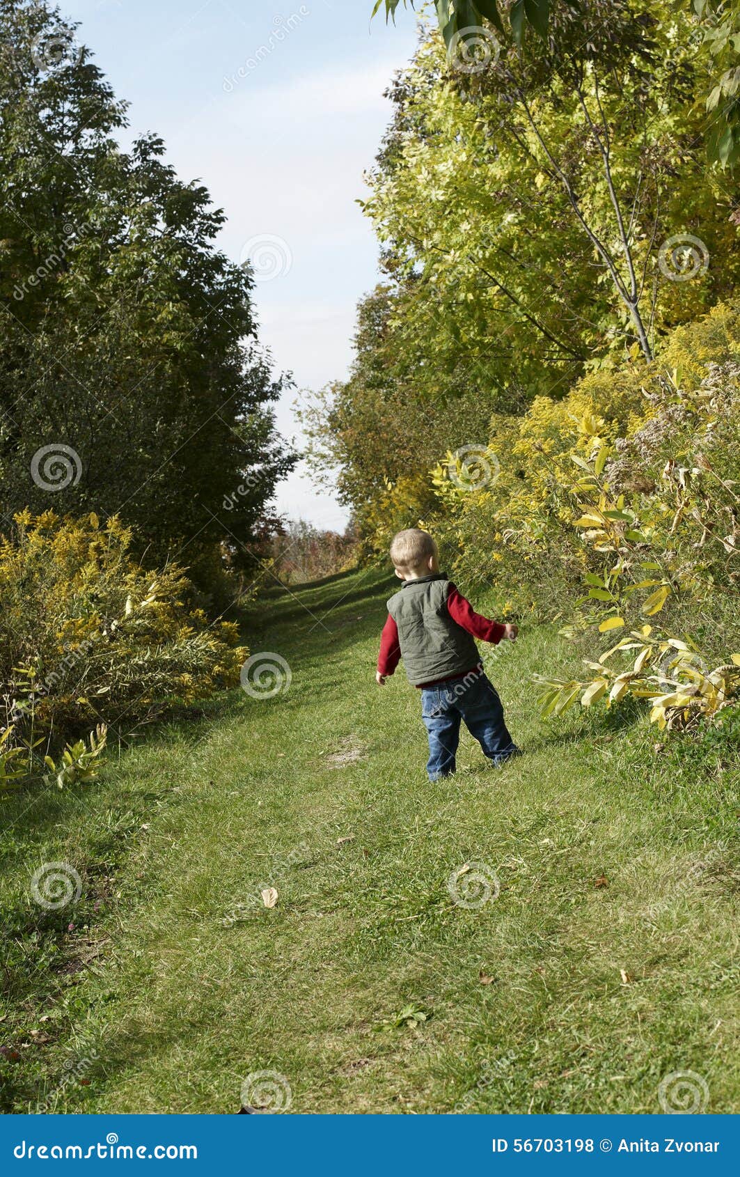 Toddler Learning to walk stock photo. Image of walking - 56703198