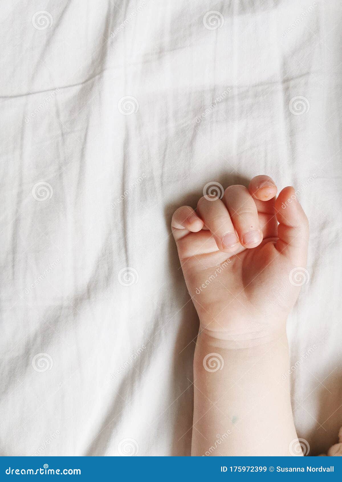 A toddlers hand stock image. Image of fingers, baby - 175972399