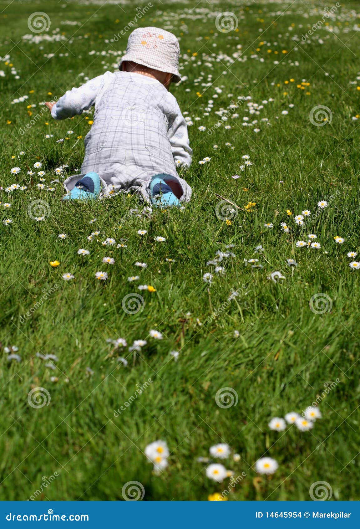 Toddling baby stock photo. Image of fast, batholite, infant - 14645954