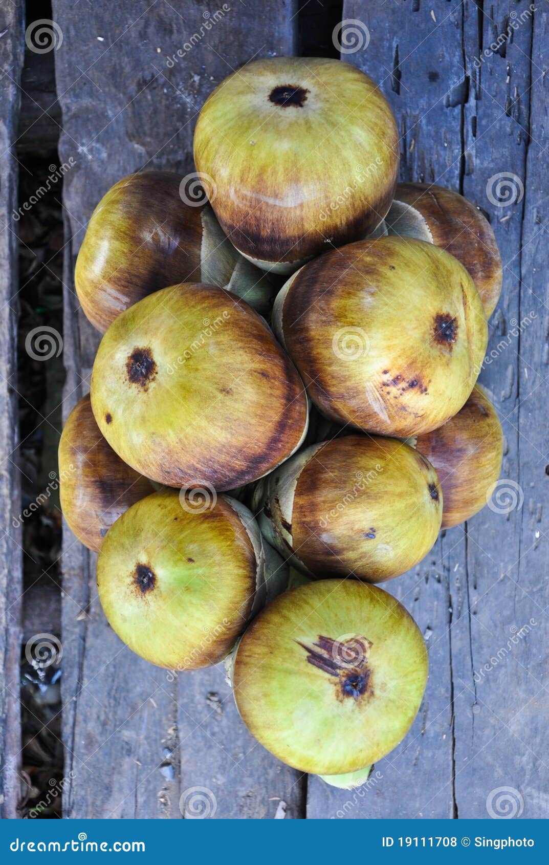 Toddy palm fruit stock photo. Image of thai, nature, farmland - 19111708