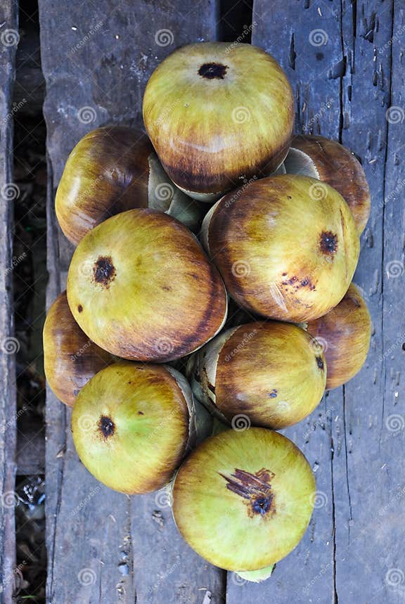 Toddy palm fruit stock photo. Image of thai, nature, farmland - 19111708