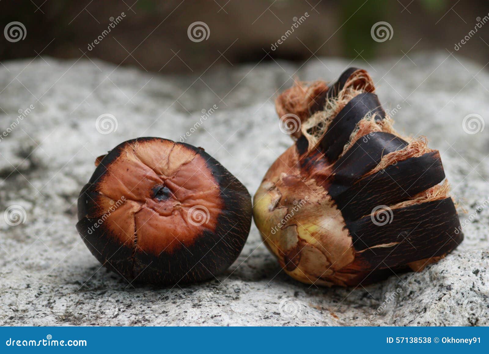 Toddy palm stock photo. Image of sweet, nature, tree - 57138538