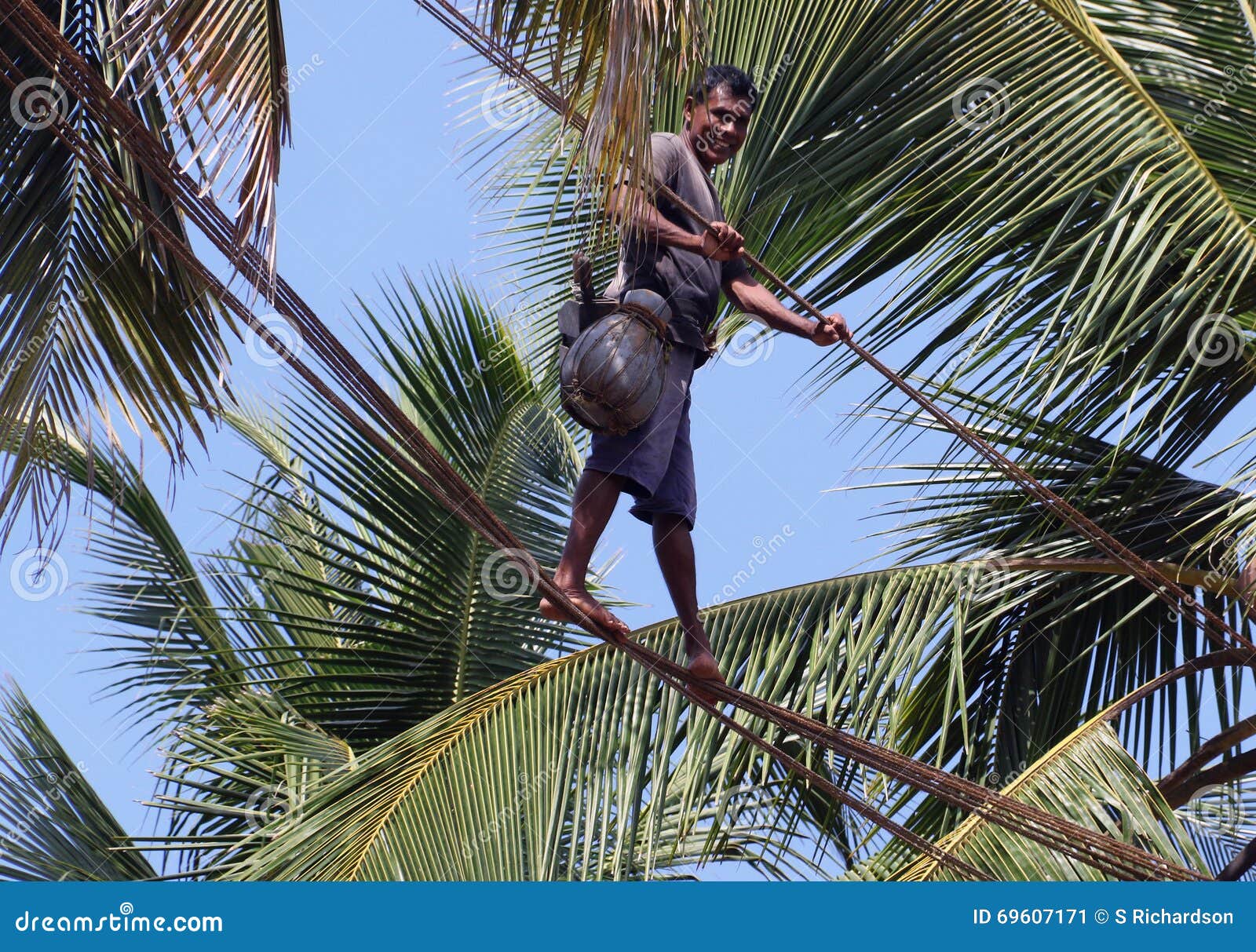 The Toddy Tapper 2 editorial photo. Image of negombo - 69607171