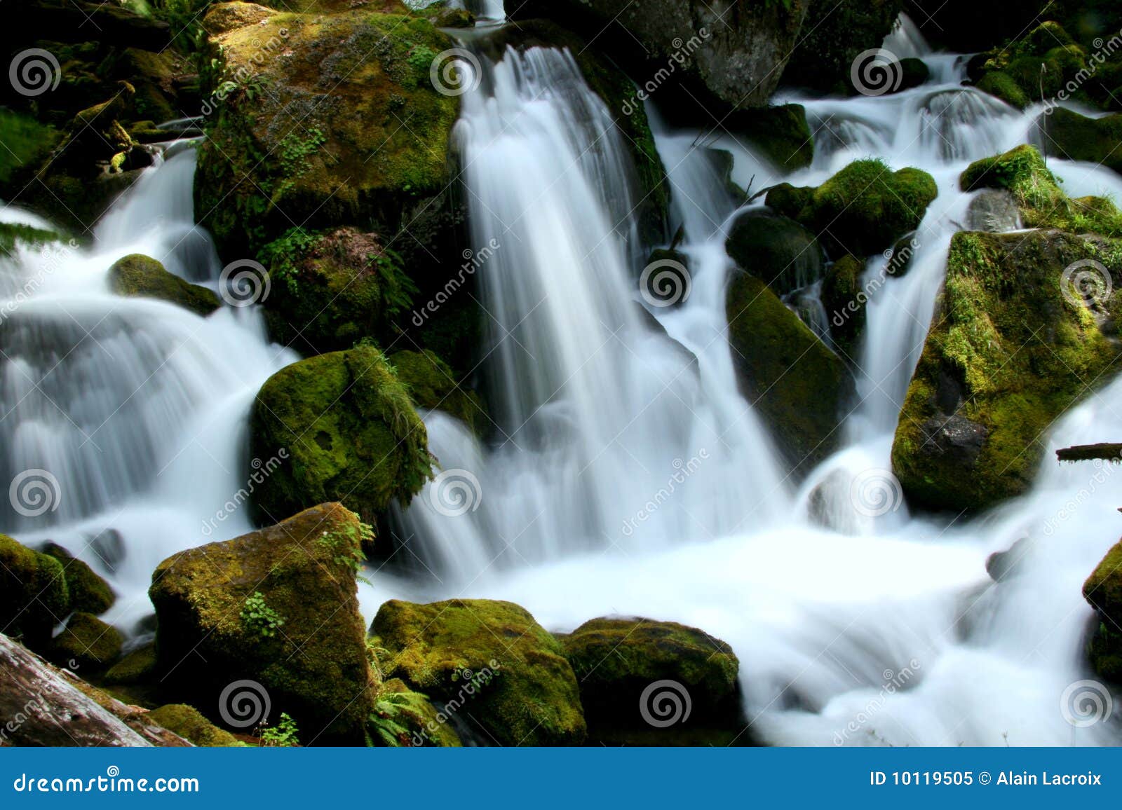 Todo Fluye Foto de archivo libre de regalías - Imagen: 10119505