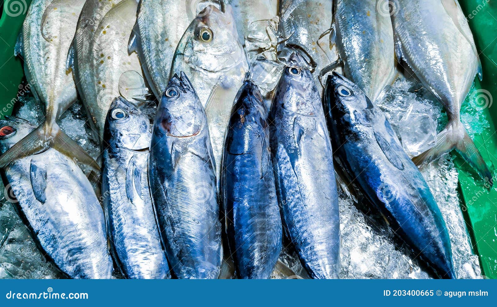Todos los peces azules imagen de archivo. Imagen de alimento - 203400665