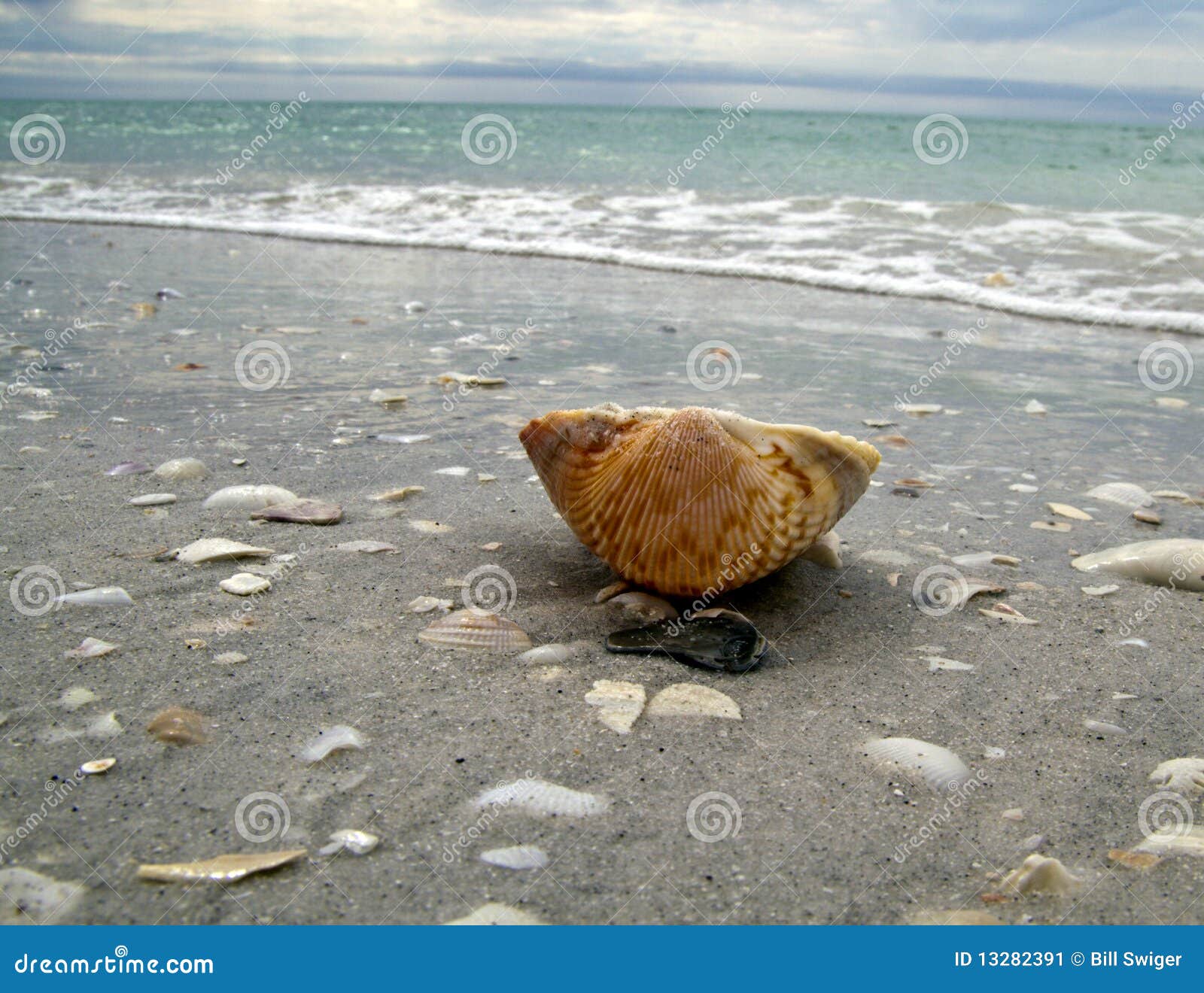 Todos Se Lavaron Para Arriba Imagen de archivo - Imagen de marina ...