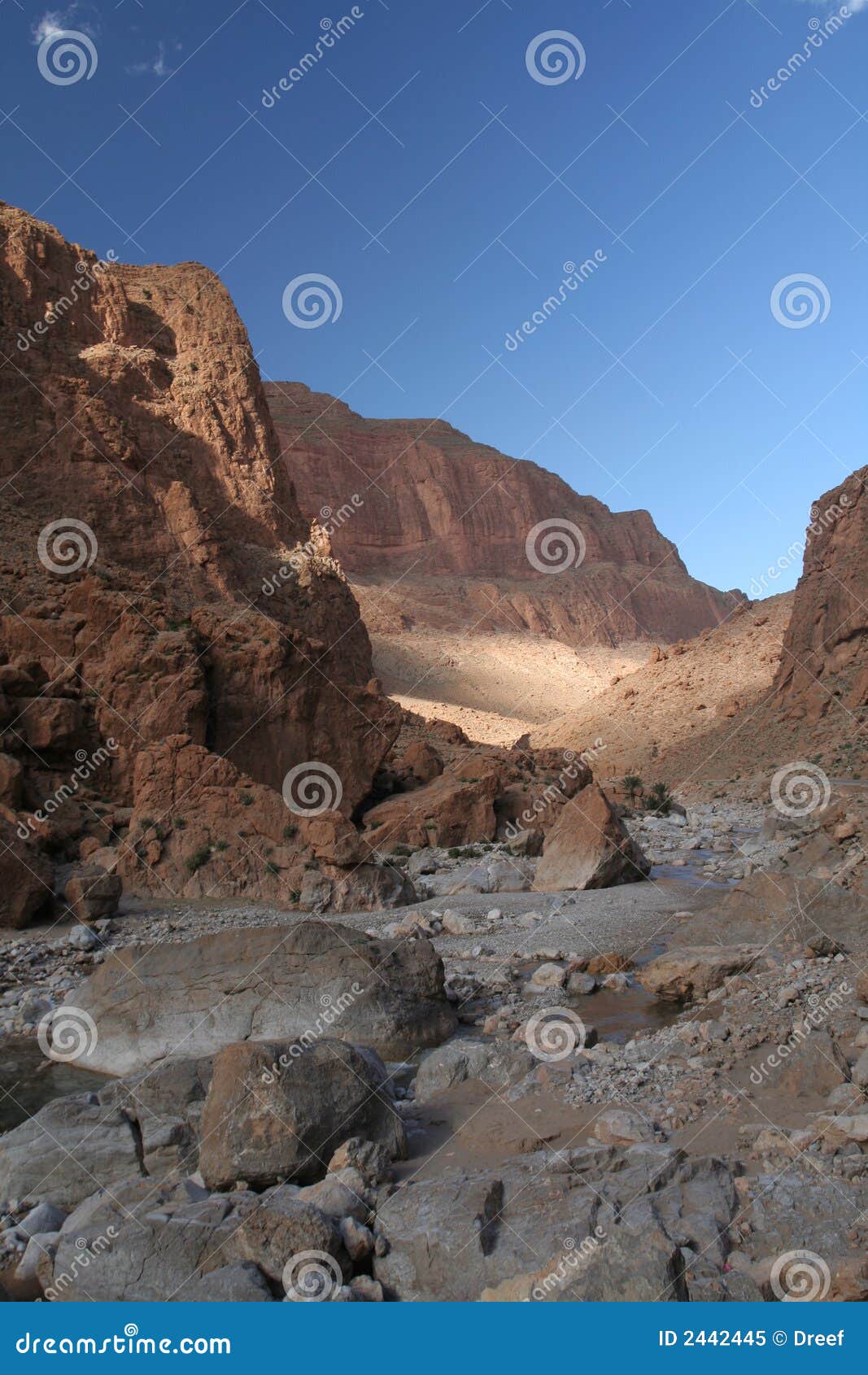 Todra Gorge Valley in Morocco Stock Image - Image of beautiful, gorge ...