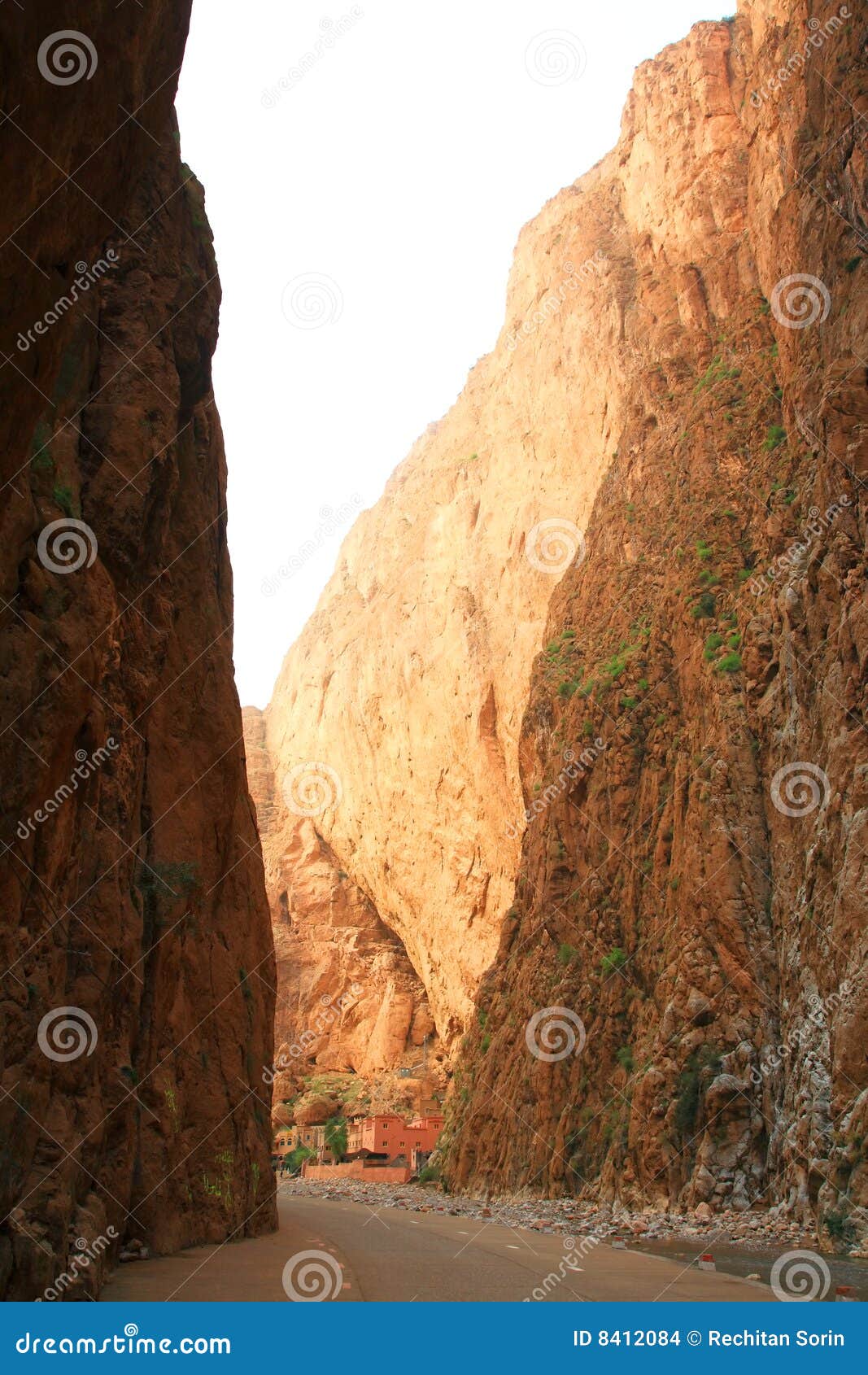Todra Gorges stock photo. Image of plant, landscape, earth - 8412084