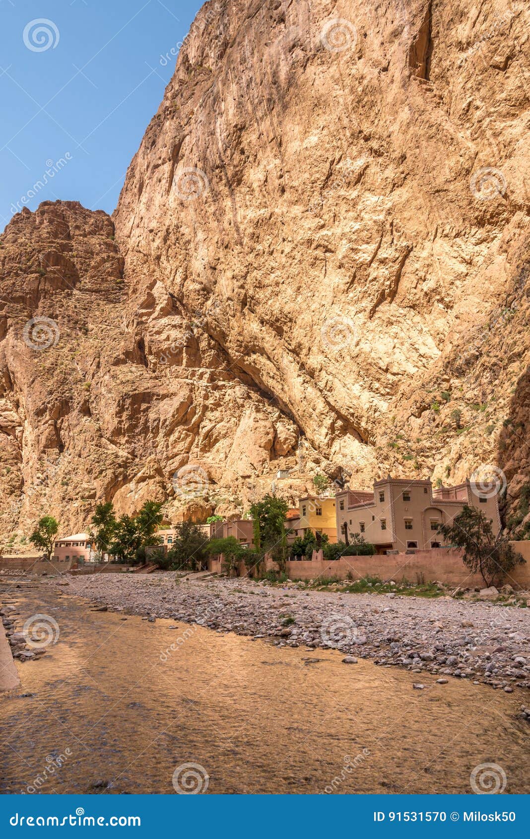 Todra River in Todgha Gorge - Morocco Stock Photo - Image of trees ...