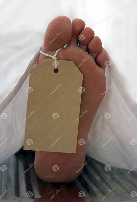 Toe tag stock image. Image of fatal, dead, feet, kill - 4050595
