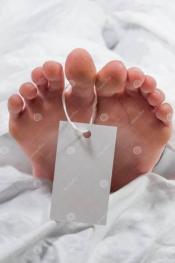 Toe Tag stock photo. Image of hospital, dead, adult, deceased - 47757096