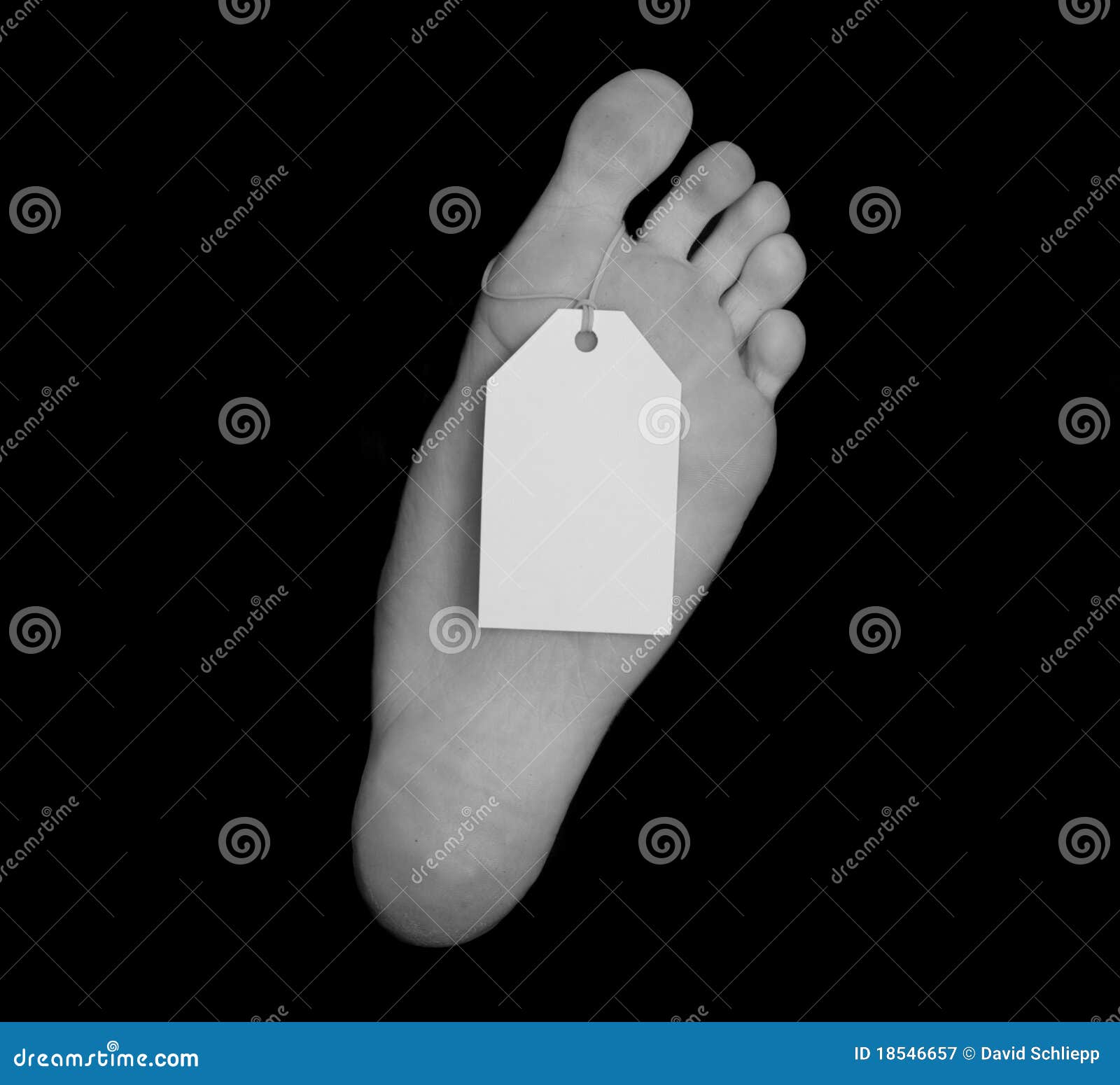 Toe Tag Isolated on Black stock image. Image of coroner - 18546657