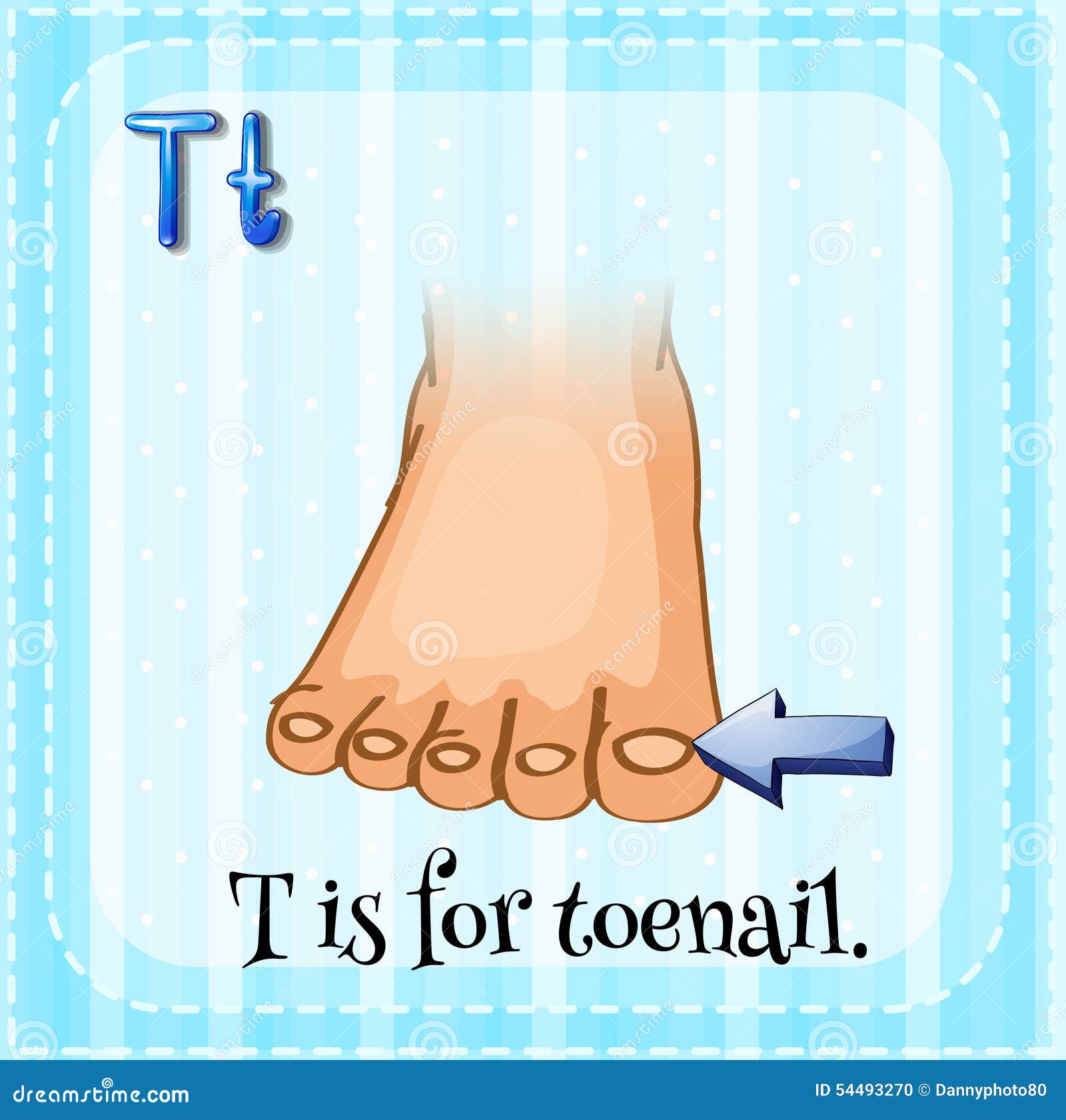 Toenail Stock Illustrations, Vecteurs, & Clipart – (665 Stock ...