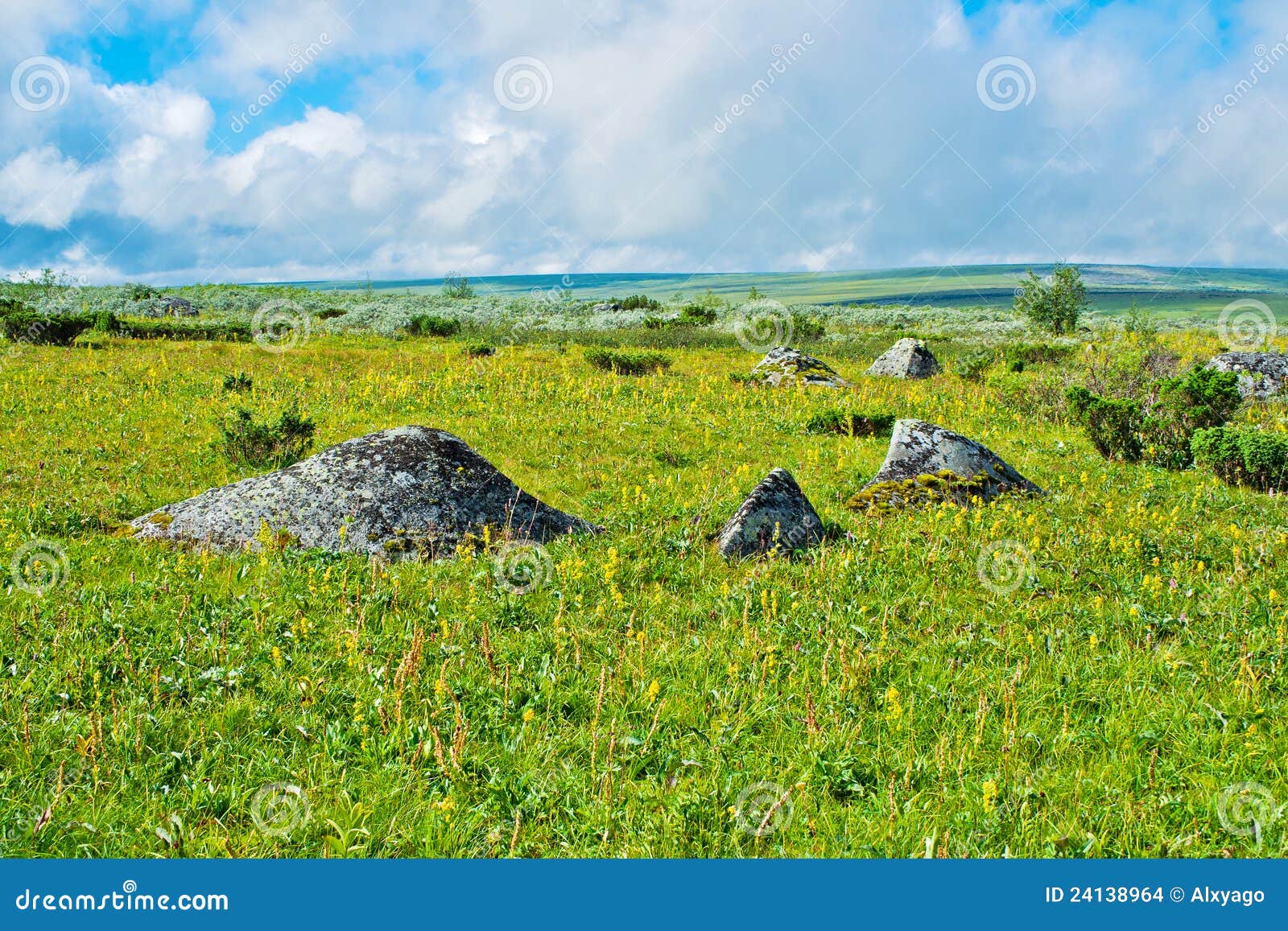 Toendra stock foto. Image of bergen, nave, ontruim, dienblad - 24138964