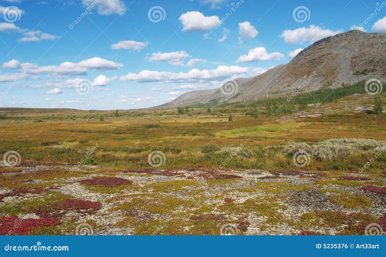 Toendra stock foto. Image of bloemen, heuvel, wolk, tafereel - 5235376