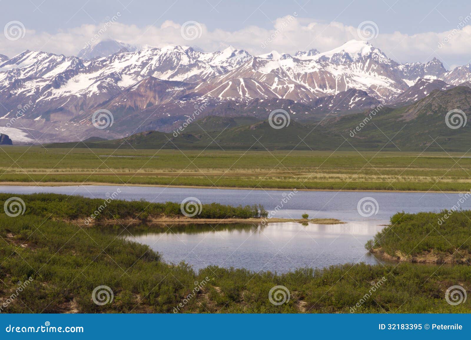 Toendra in Alaska stock afbeelding. Image of bergen, toendra - 32183395