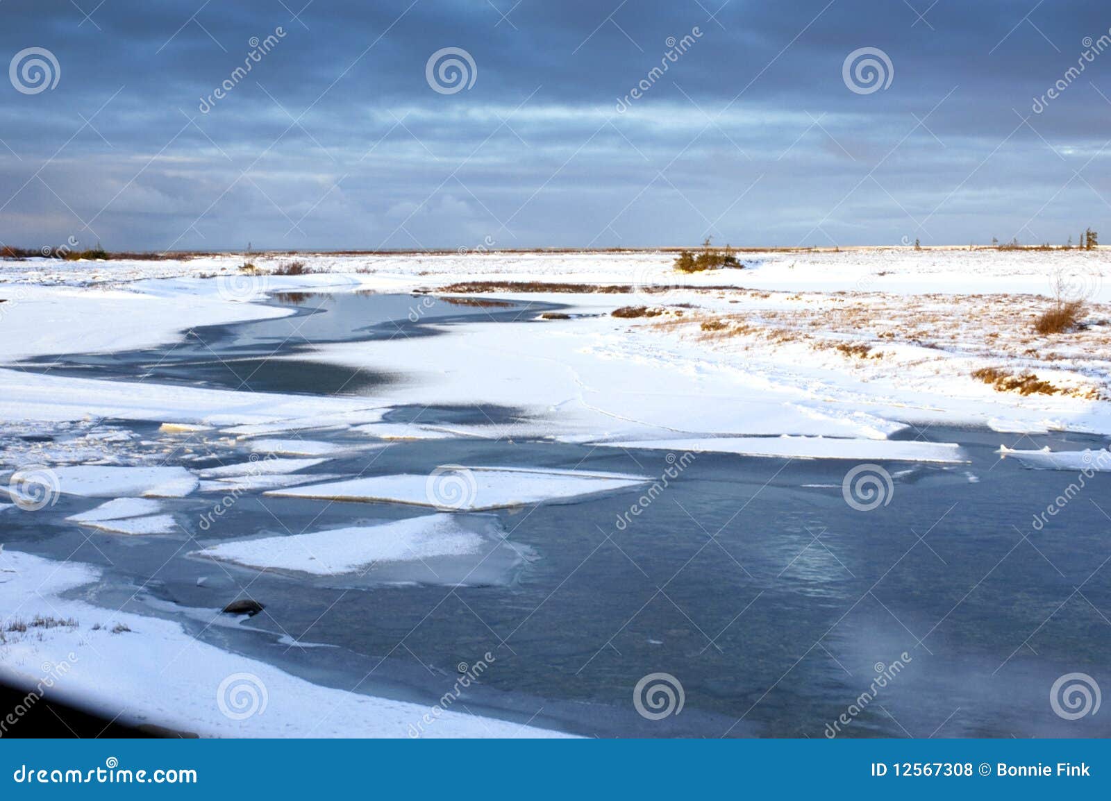 Toendra in Churchill stock foto. Image of toendra, smelten - 12567308