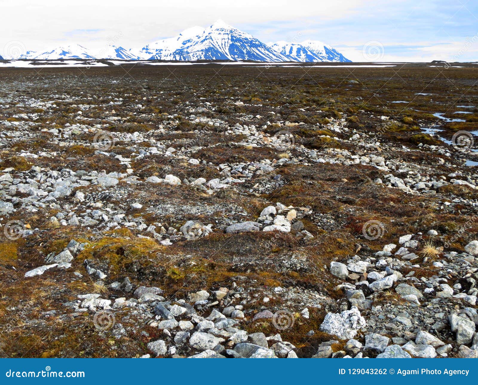 Toendra Photos - Free & Royalty-Free Stock Photos from Dreamstime