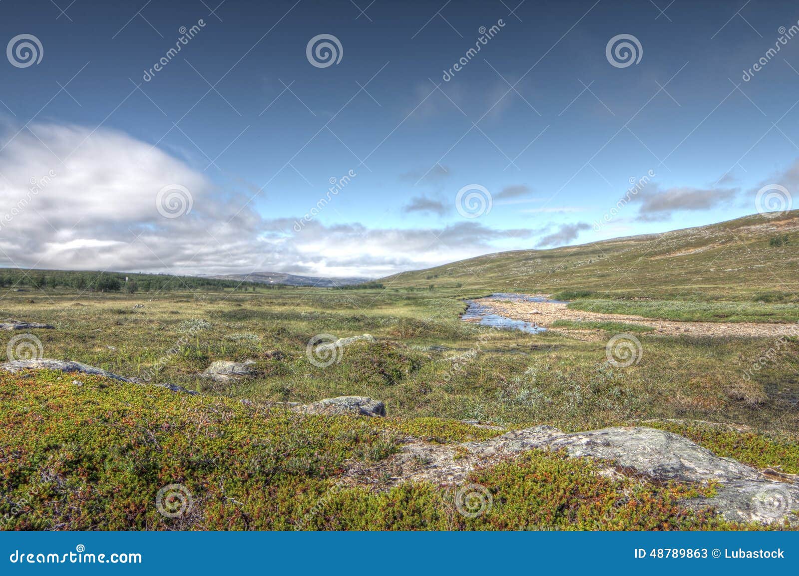 Toendralandschap stock afbeelding. Image of tafereel - 48789863