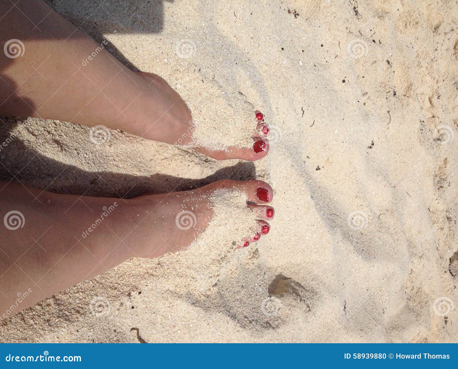 Toes in the sand stock photo. Image of sand, leggs, toes - 58939880