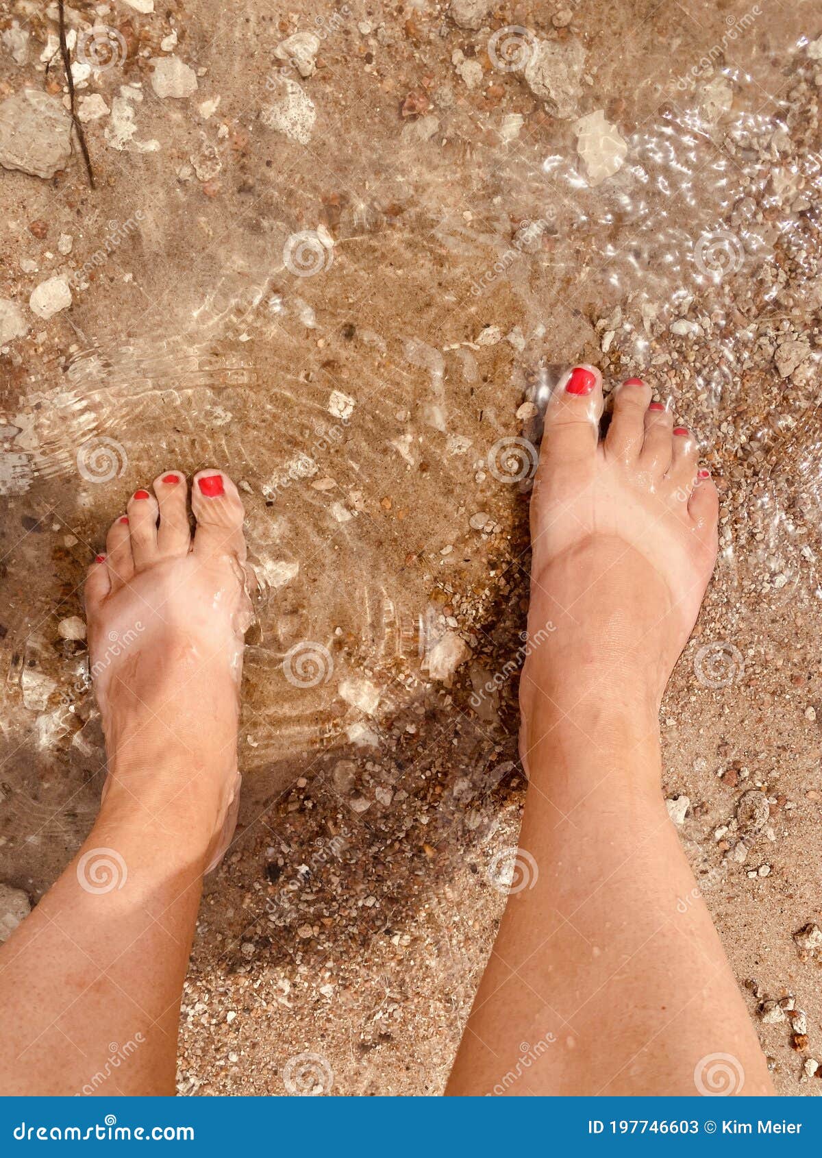 Toes in the sand stock image. Image of water, toes, sand - 197746603