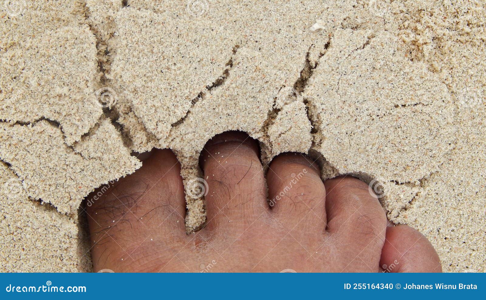 Toes stuck in the sand stock photo. Image of beach, finger - 255164340