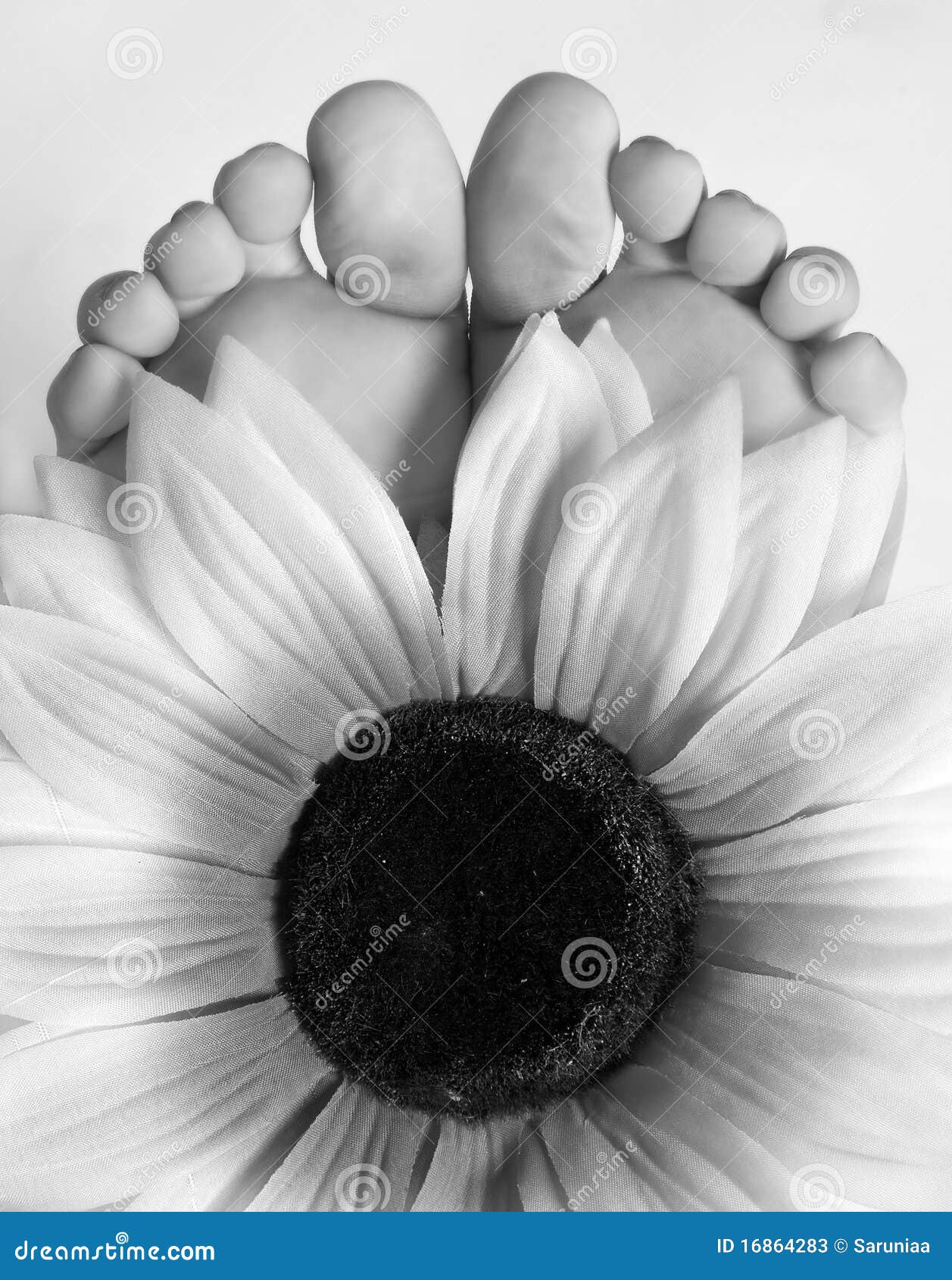 Toes and a Sunflower stock image. Image of rejuvenate - 16864283