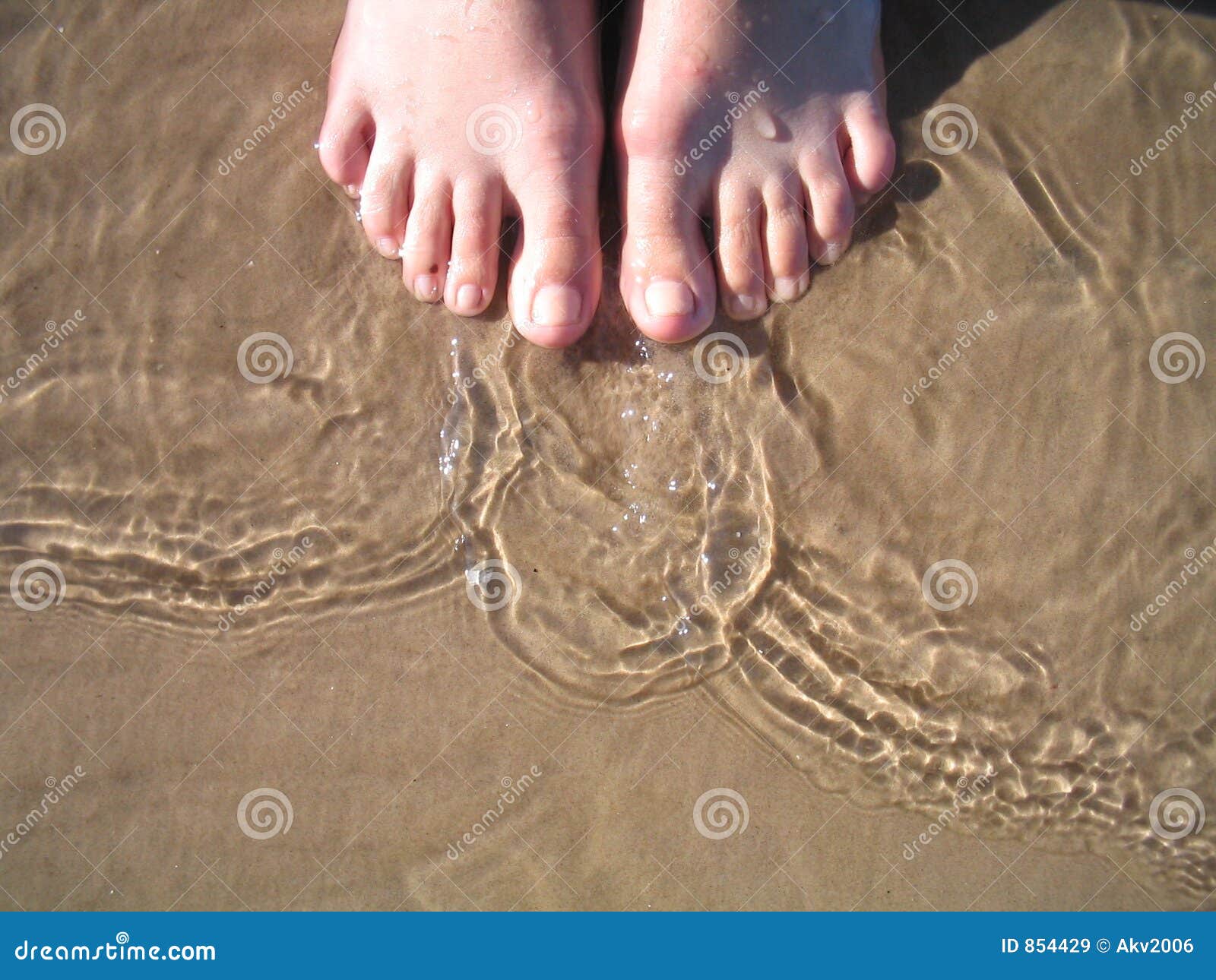 Toes in the water stock image. Image of alone, adult, shore - 854429