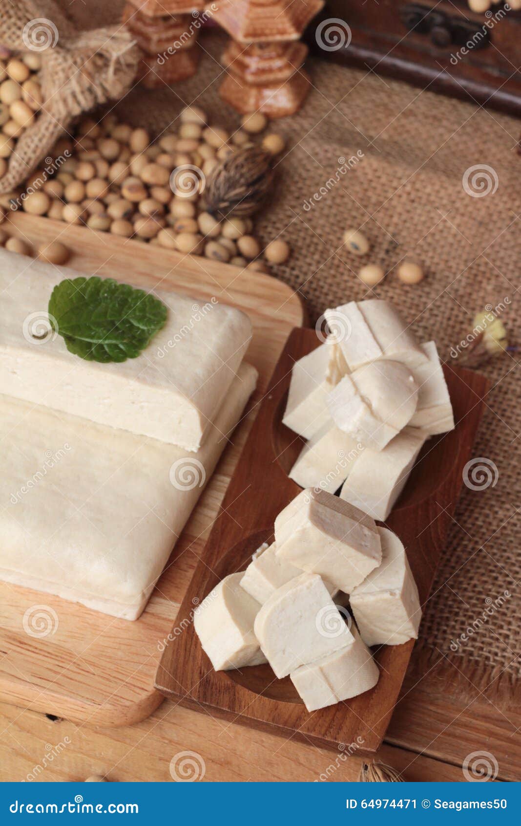 Tofu for Cooking and Soybean Seed. Stock Image - Image of pieces, fiber ...