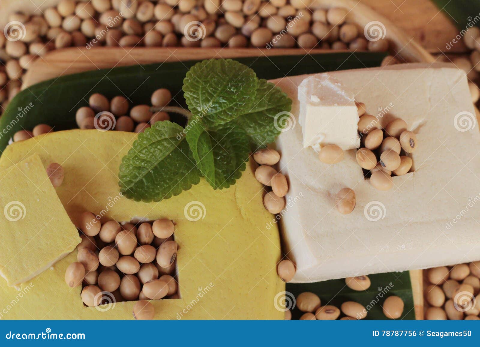 Tofu for Cooking and Soybean Seed. Stock Photo - Image of dietary ...