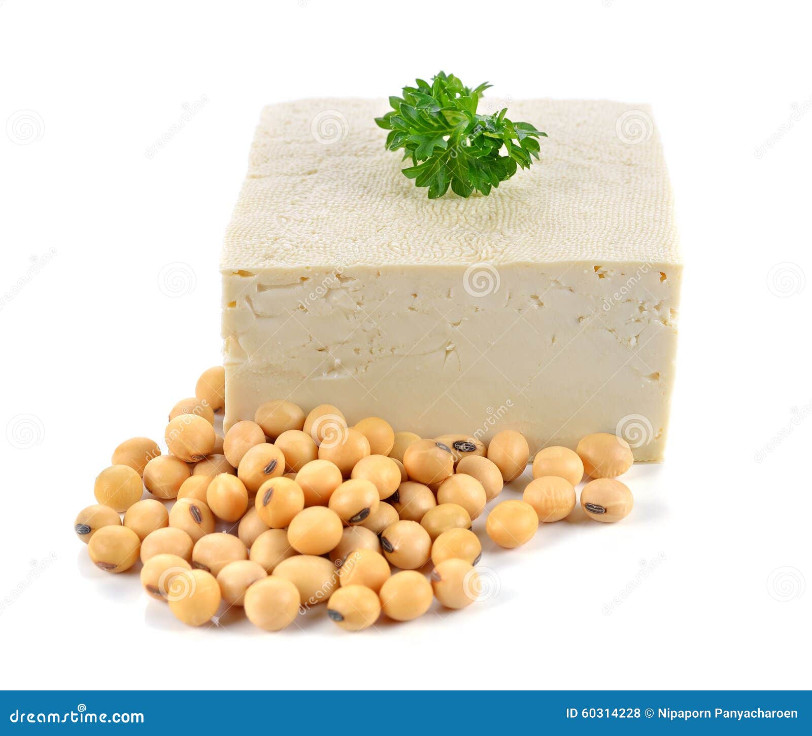 Tofu and soybeans stock photo. Image of dietary, chinese - 60314228