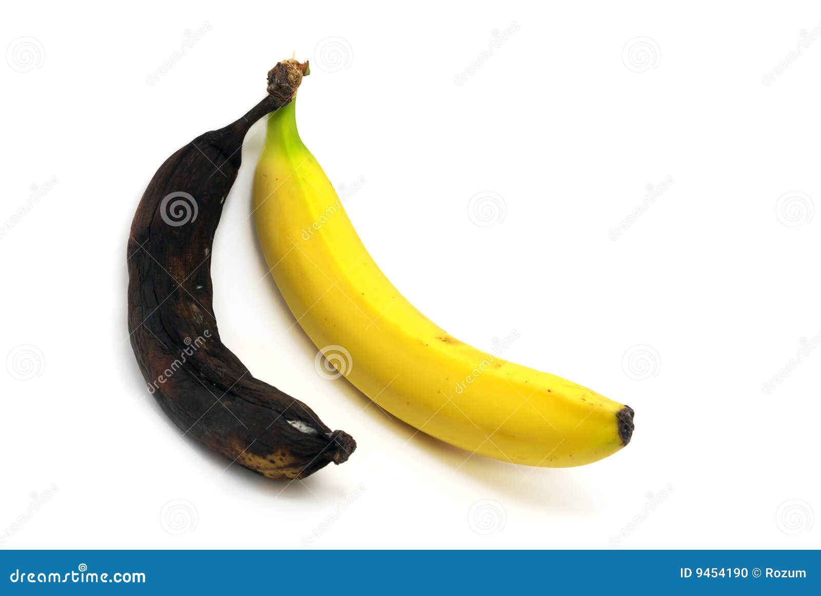 Together Rotten and Ripe Bananas Stock Photo - Image of mold, mycelium ...