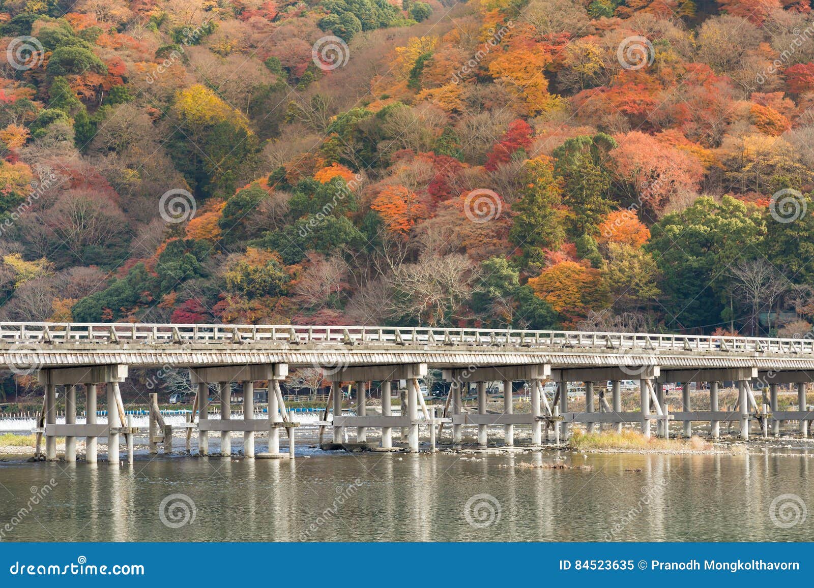 Togetsukyo Bridge with Multiple Colour Tree on the Mountain Background ...