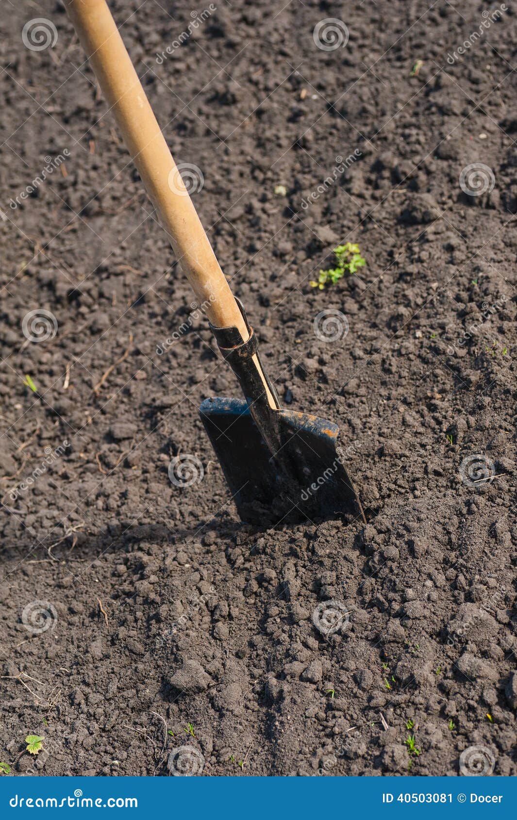 Toil Work of Ground. Spade Insert Soil Stock Image - Image of chernozem ...