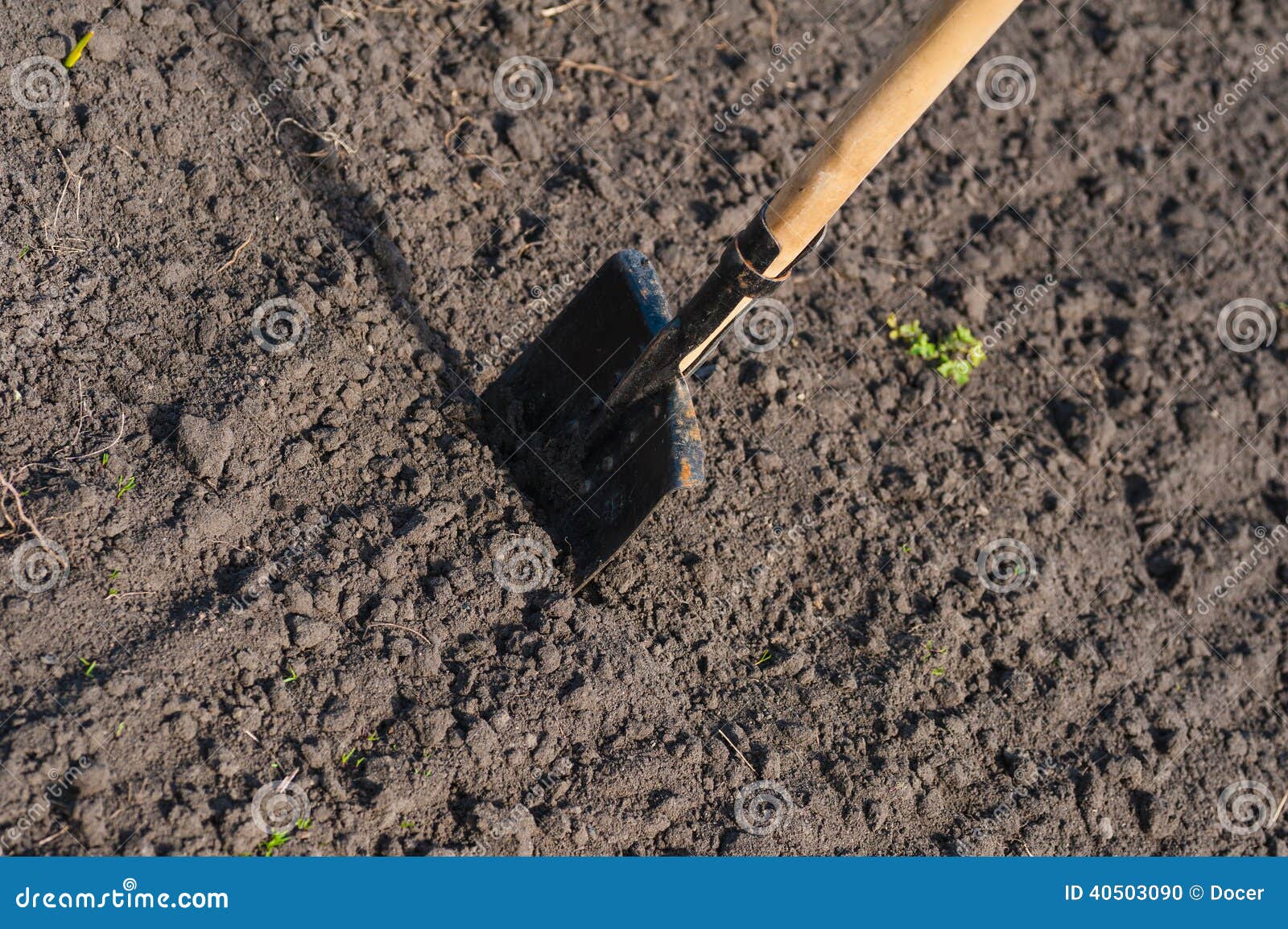 Toil Work of Ground. Spade Insert Soil Stock Photo - Image of routine ...