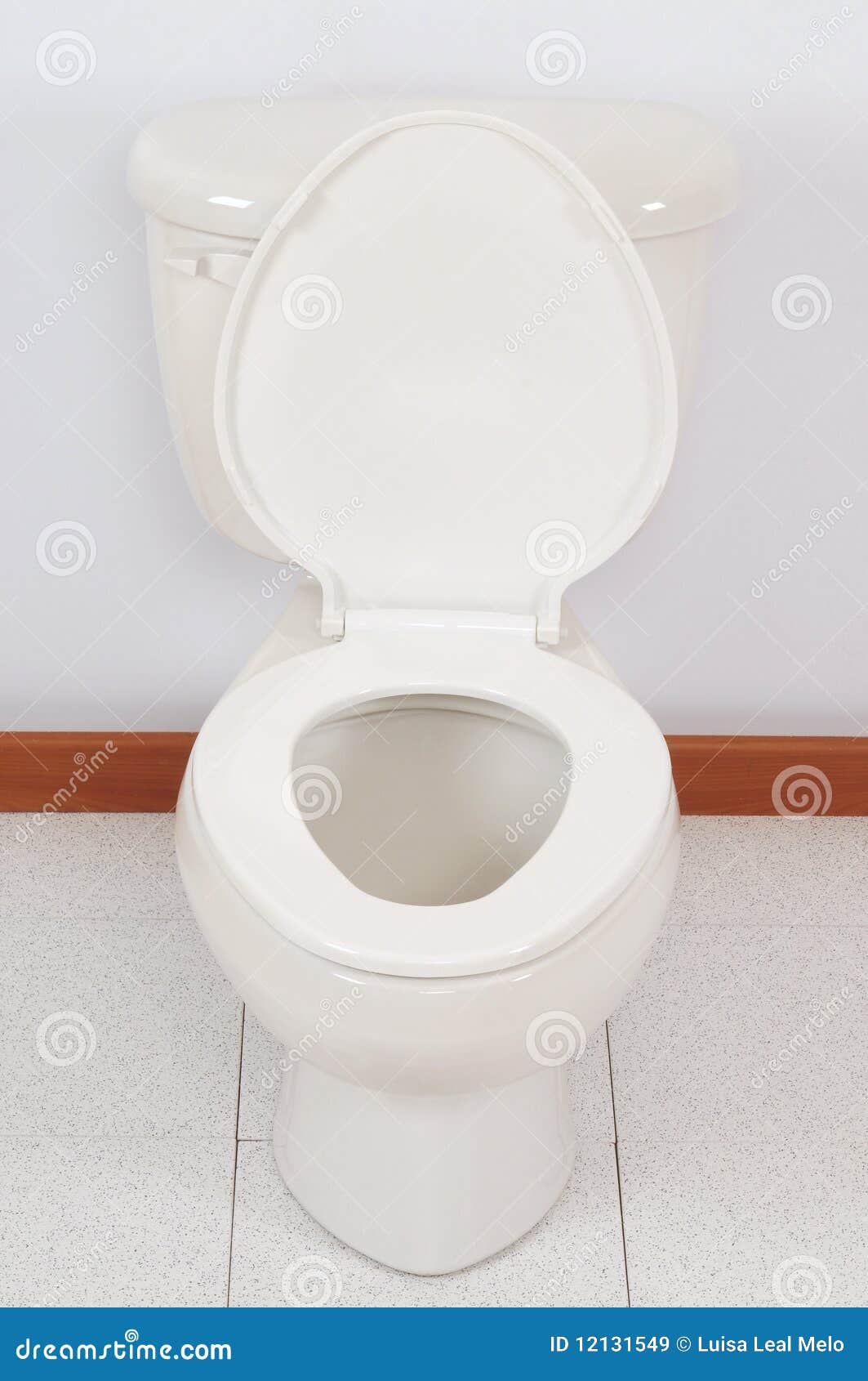 Toilet stock image. Image of objects, bathroom, toilet - 12131549