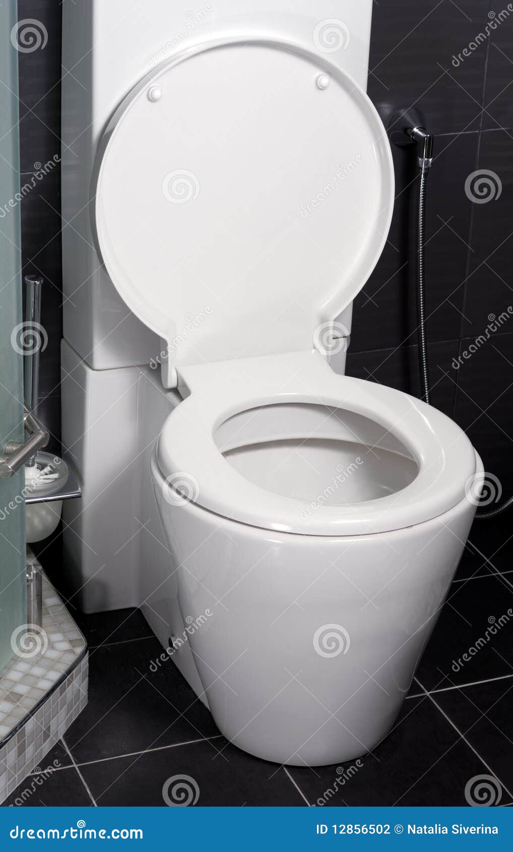 Toilet stock photo. Image of indoors, rest, comfortable - 12856502