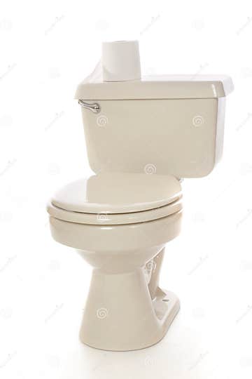 Toilet stock image. Image of flush, seat, white, paper - 3253087