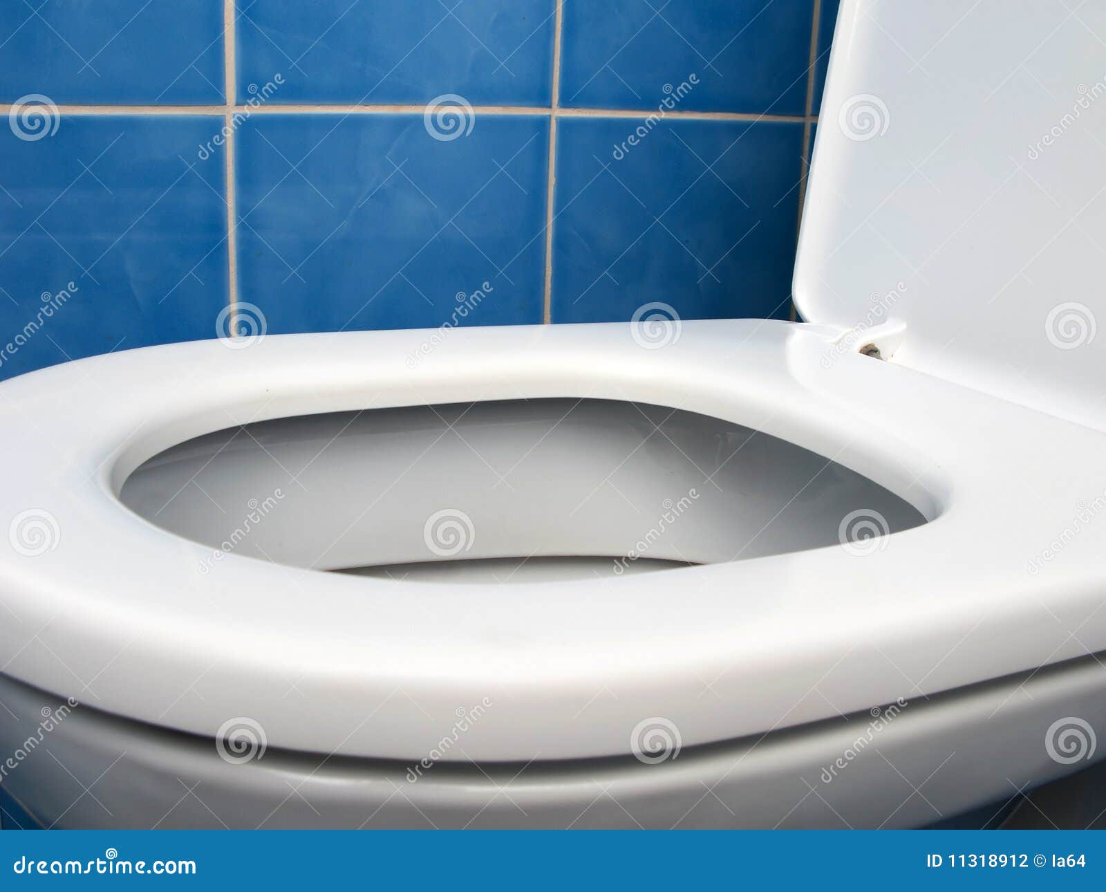 Toilet bowl stock photo. Image of bowl, luxury, modern - 11318912