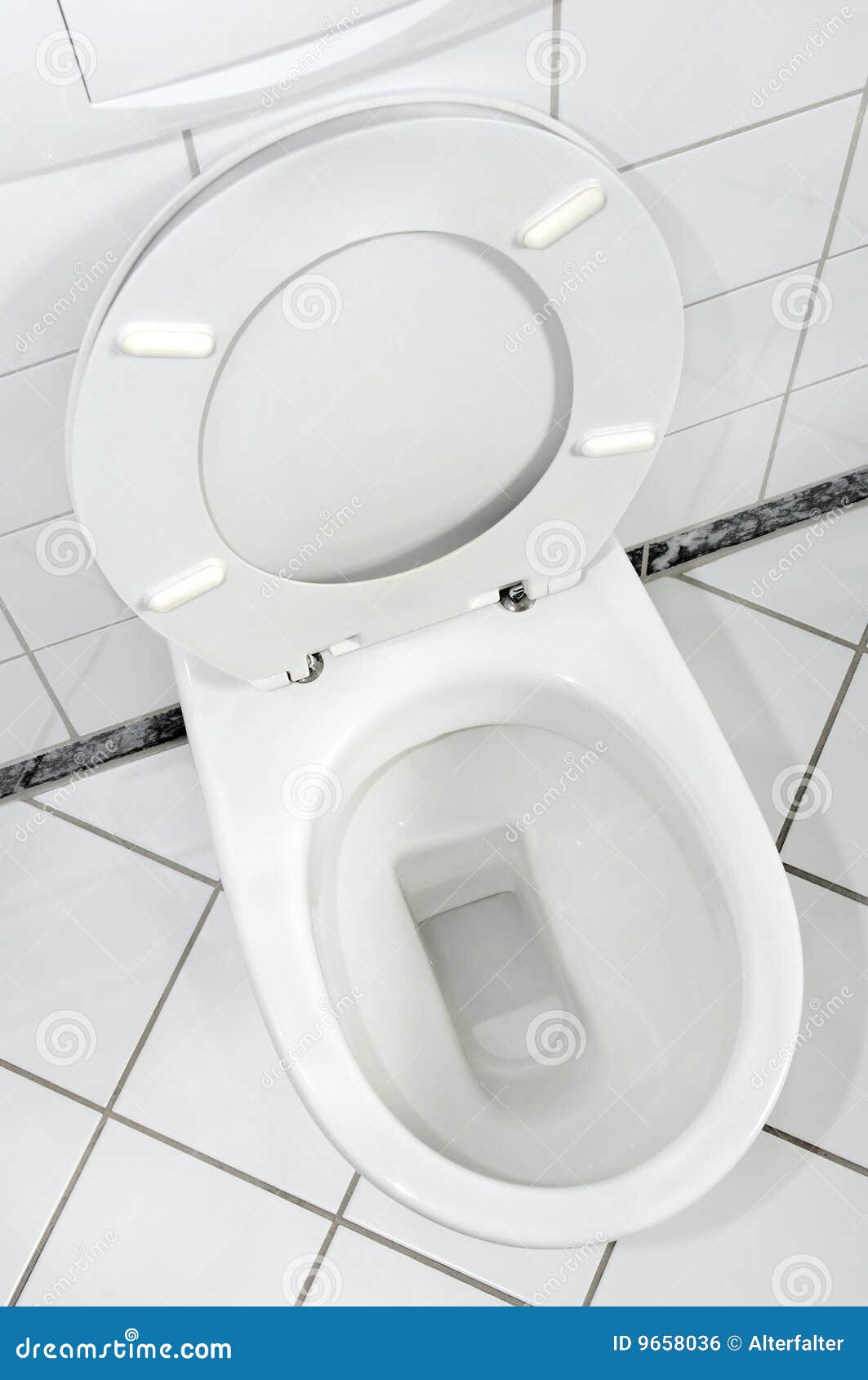 Toilet bowl stock photo. Image of white, lavatory, flush - 9658036