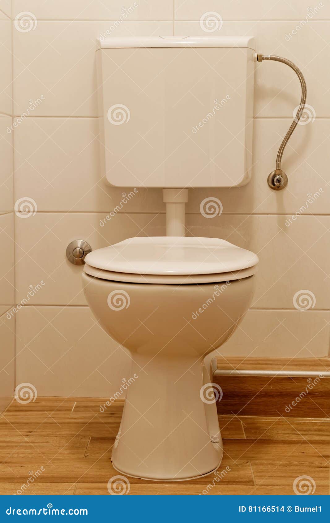 Toilet bowl stock photo. Image of ceramic, modern, cistern - 81166514