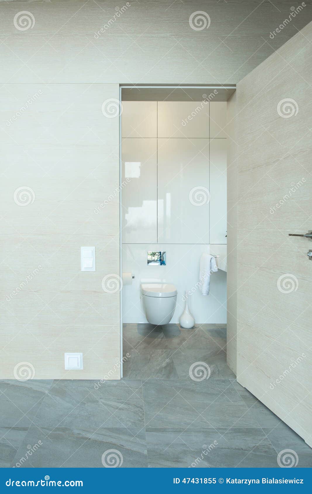 Toilet door open stock image. Image of furniture, clean - 47431855
