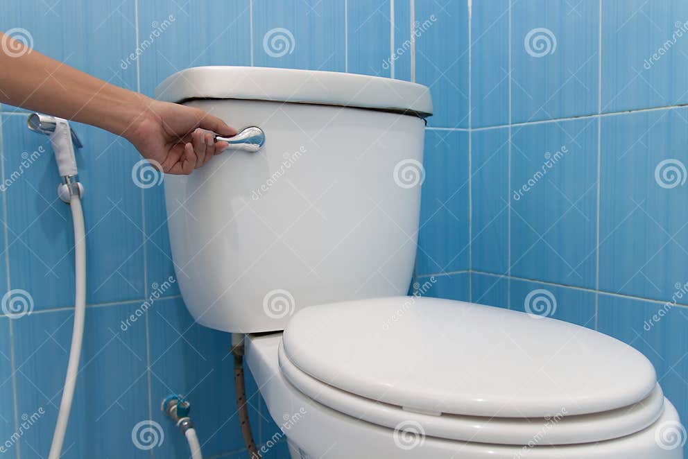 Toilet with Flush. Press and Flush. Stock Photo - Image of hand, press ...