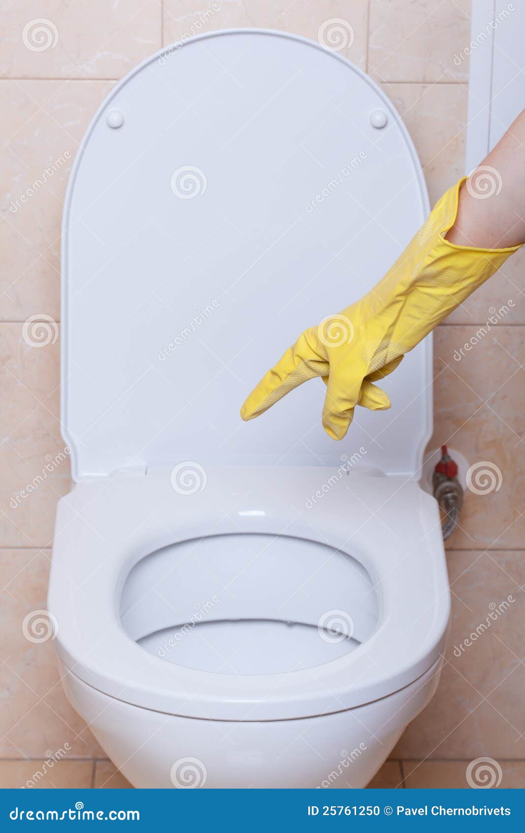 Toilet hygiene concept stock photo. Image of floor, protective - 25761250